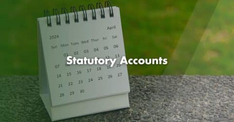 What are Statutory Accounts? Research Spotlight