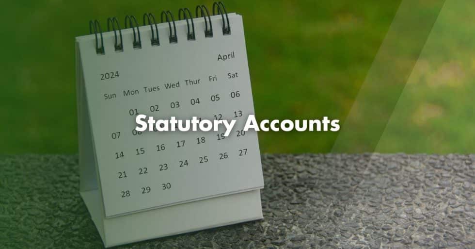 What are Statutory Accounts? Research Spotlight